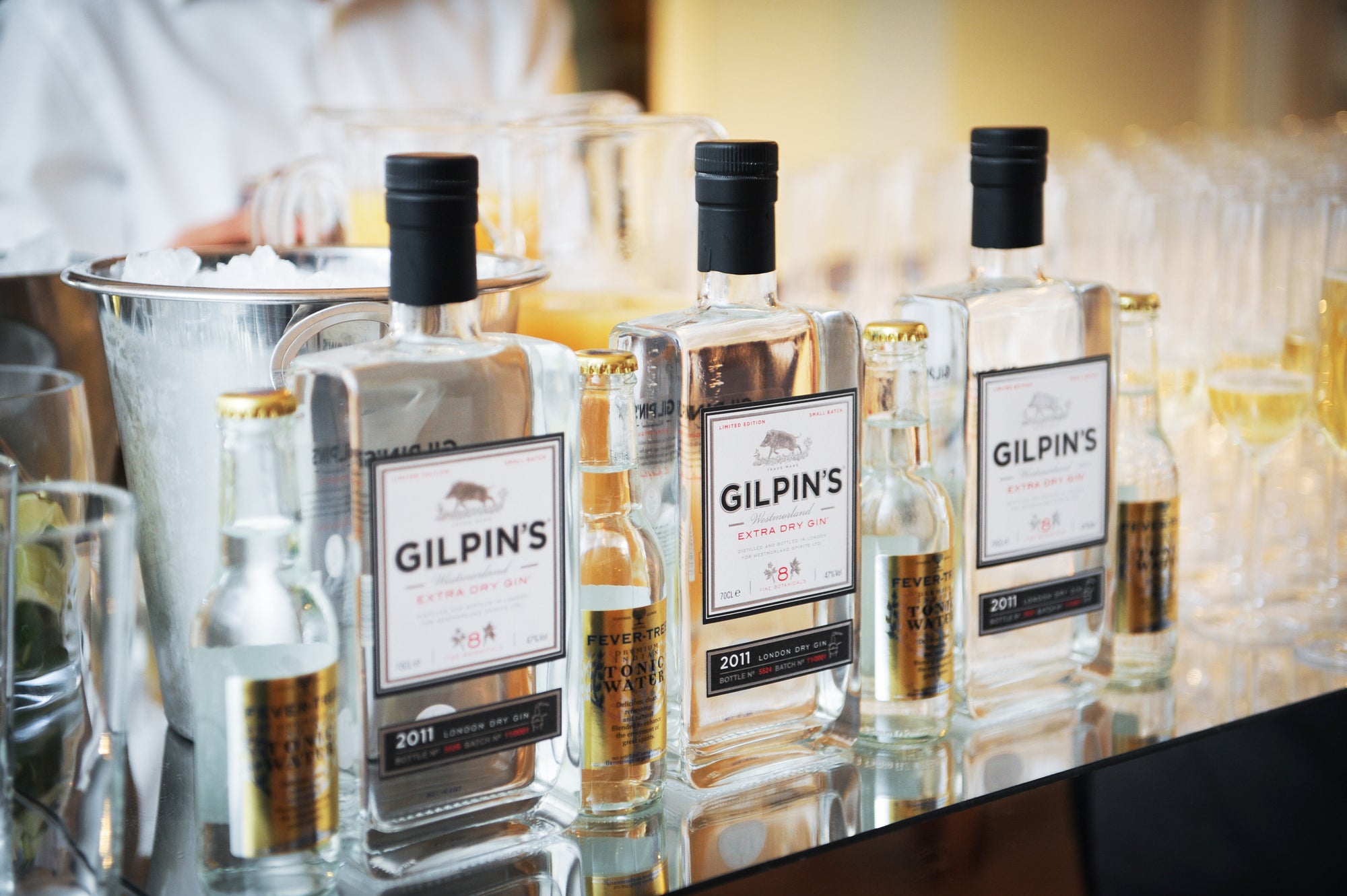 gilpinsgin.com: Best Award Winning London Dry Gin